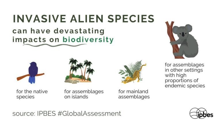 Invasive Species Awareness Week - Gene Drive Network