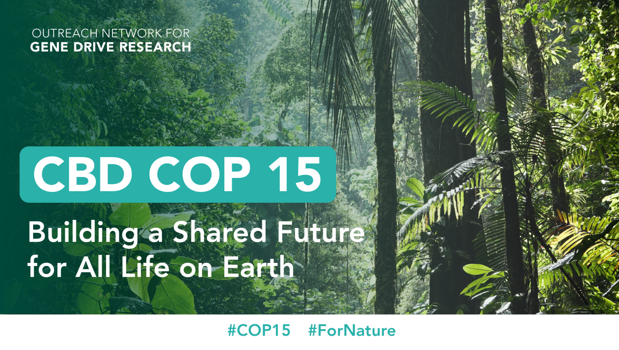 COP15 delegates adopt the new Global Biodiversity Framework - Gene ...