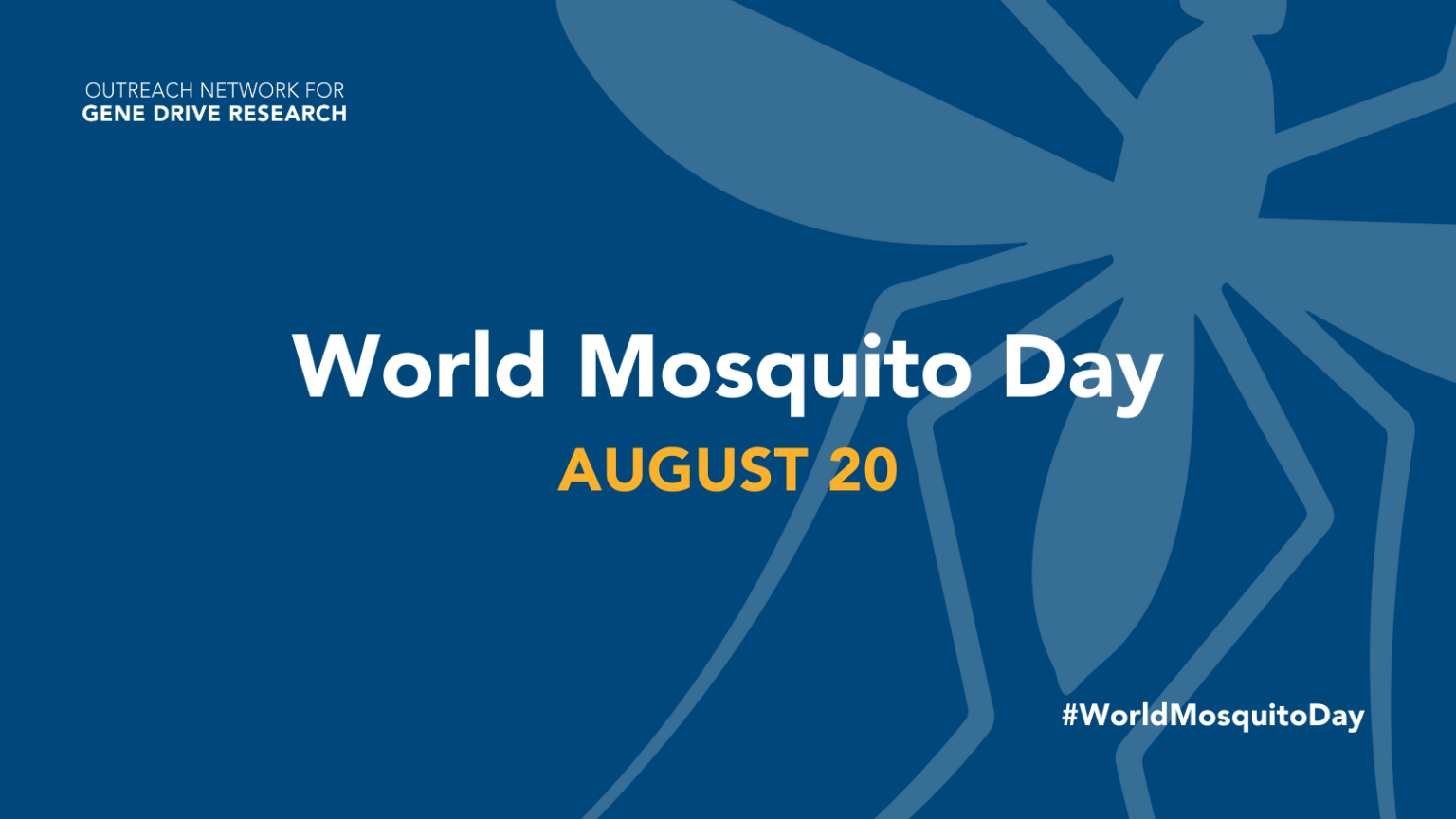 World Mosquito Day: Fighting the spread of Aedes mosquitoes - Gene ...