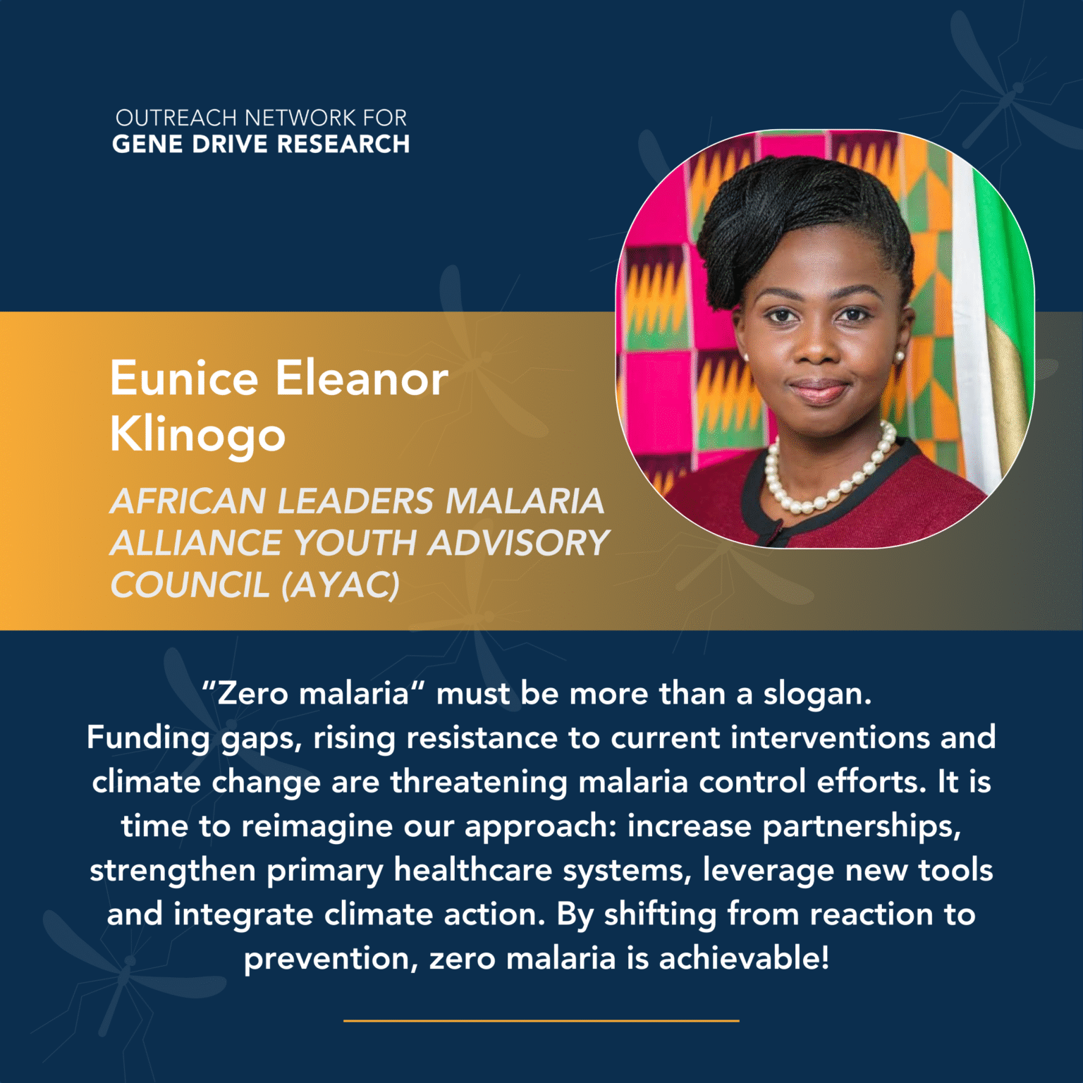 World Malaria Day: Reimagining the fight against malaria - Gene Drive ...