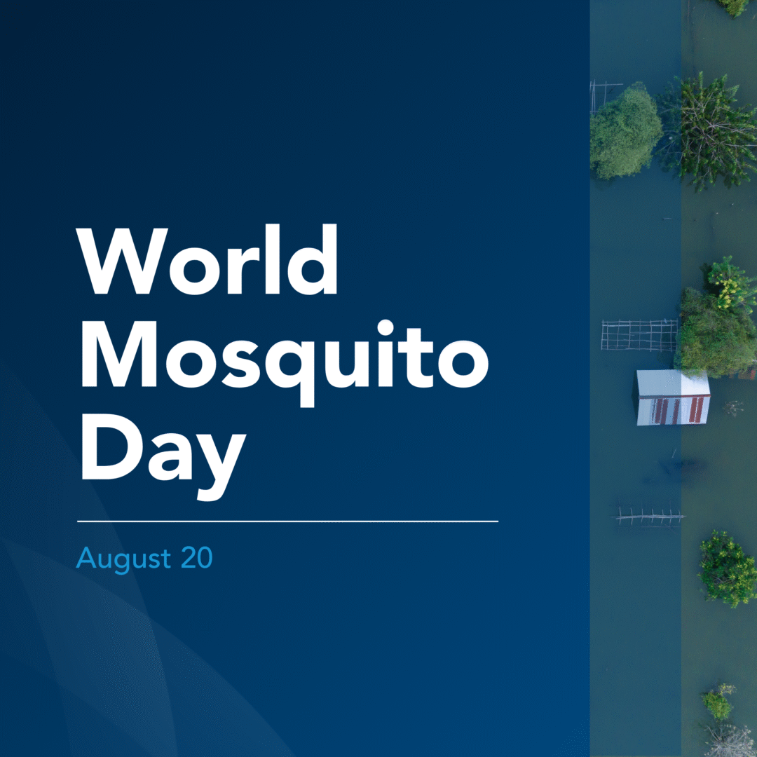 World Mosquito Day: Mosquito-borne diseases in a changing world - Gene ...